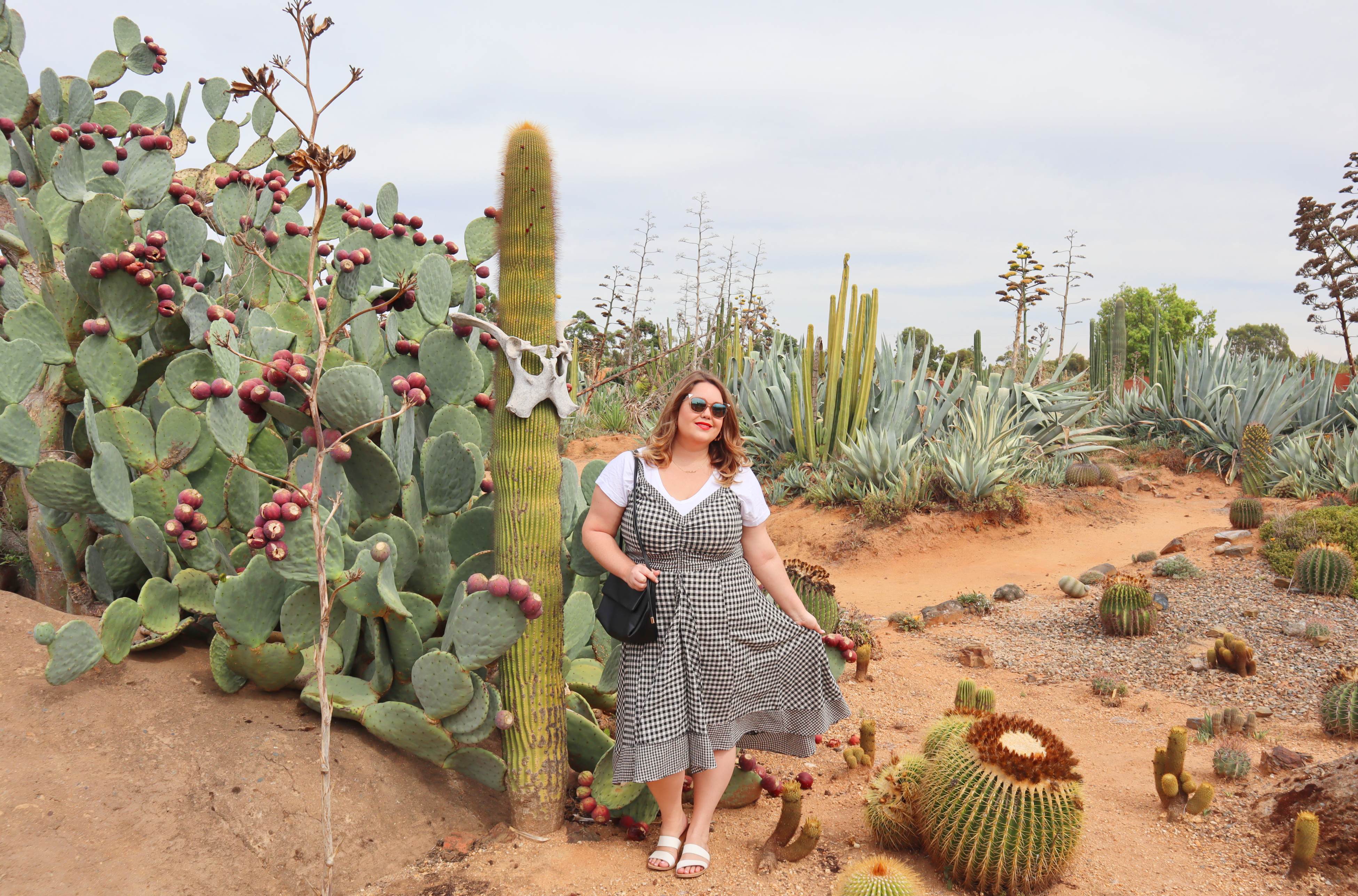Cactus Country ~ Roadtrip Guide {VIC} - Curvy Sam